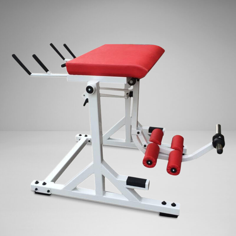 Westside Reverse Hyper with Bent Pendulum | Techno Sport Tunisie